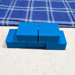 Set of Red and Blue Pressure Blocks for NYS Earth and Space Science Lab ...