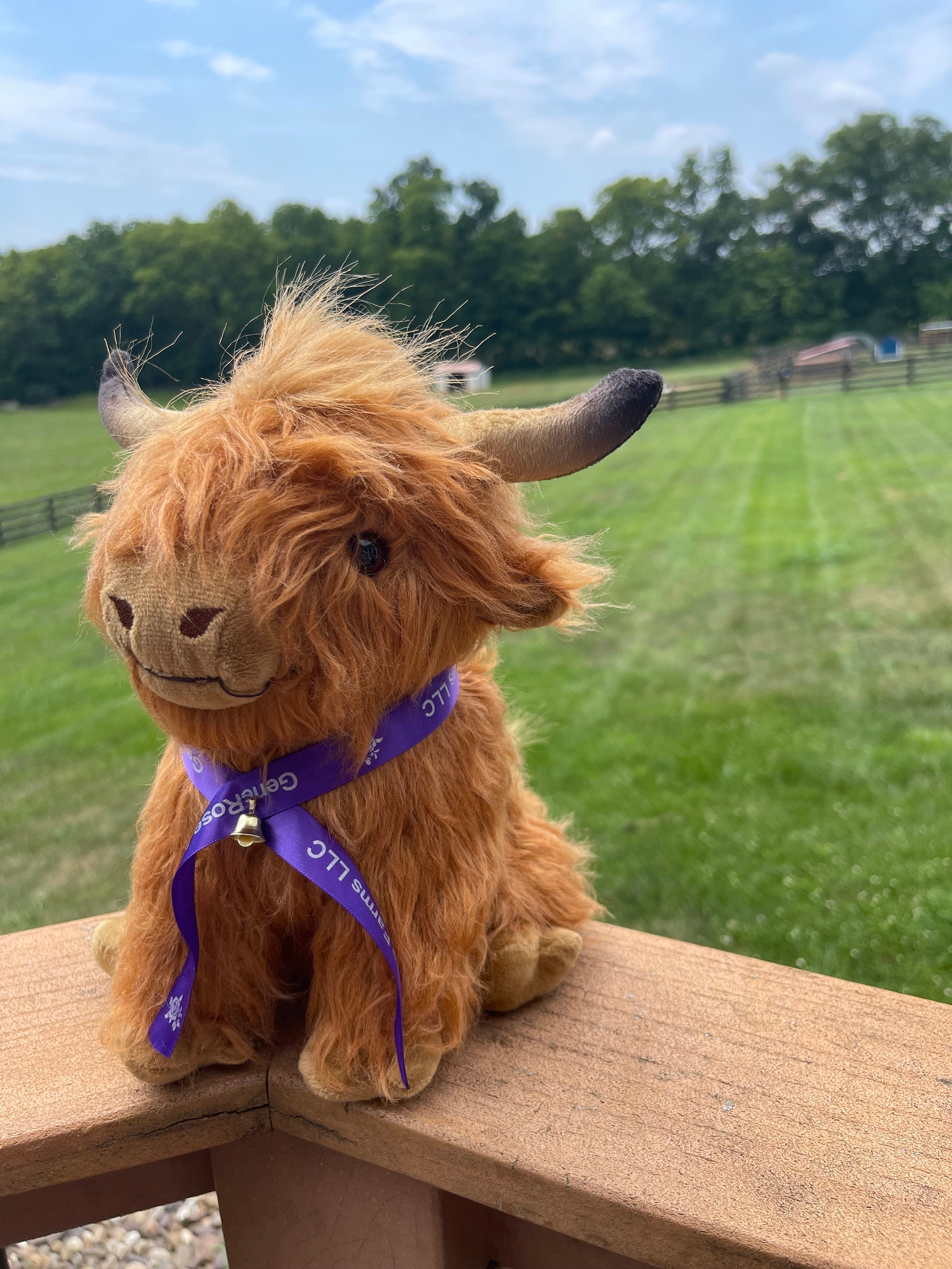 Rustic Scottish Highland Cow Plush 10 With Lavender - Etsy UK