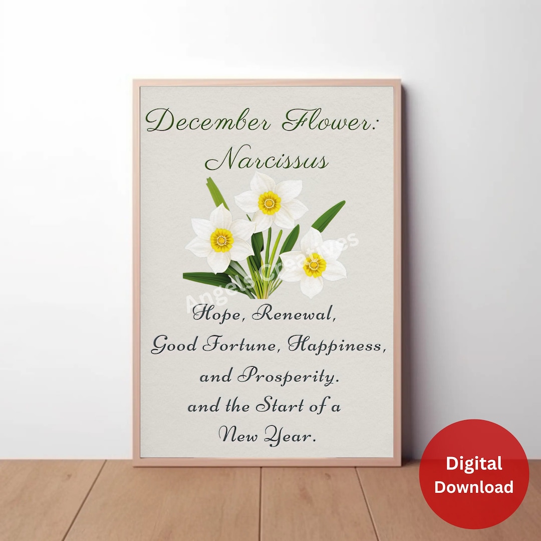 December Birth Month Flower Digital Wall Art Narcissus Flower Print ...