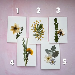 Botanical Card - Pressed Flowers - Real Flowers, Dried - Handmade ...