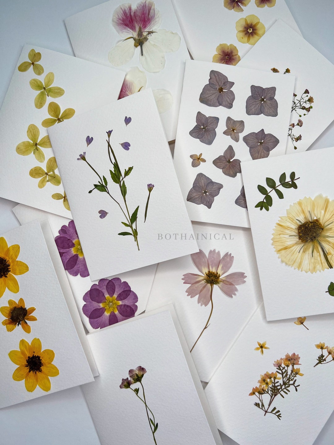 Botanical Card - Pressed Flowers - Real Flowers, Dried - Handmade ...