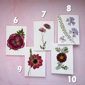 Botanical Card - Pressed Flowers - Real Flowers, Dried - Handmade ...