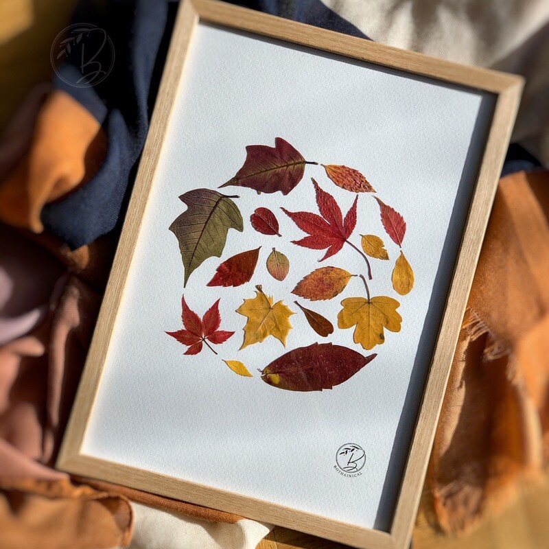 Pressed Leaves - Etsy