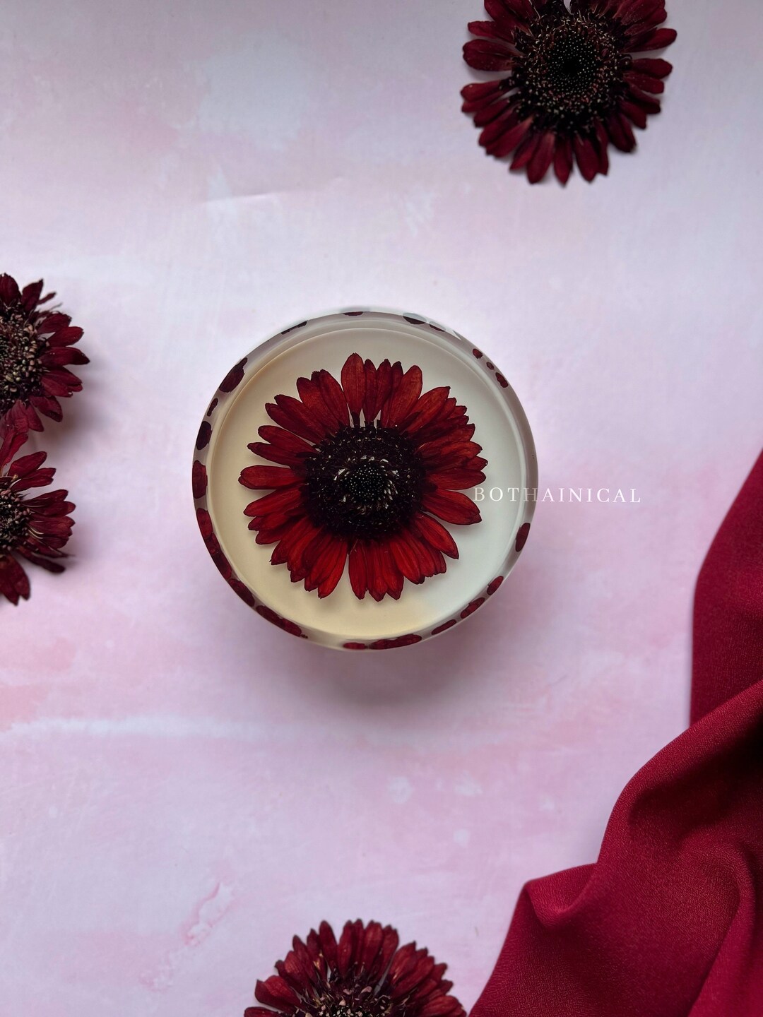 Dried Gerbera Resin Paperweight - Office Supplies, Papiergewicht ...