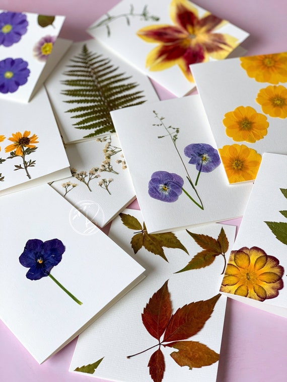 Botanical Card Pressed Flowers Real Flowers Dried - Etsy