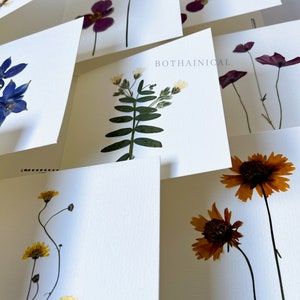 Botanical Cards - Pressed Flowers - Real Flowers, Dried - Handmade ...