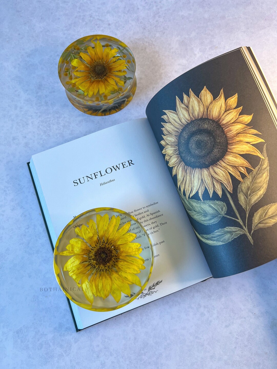 Sunflower Paperweight. Paperweights Made With Dried Sunflower and Clear ...