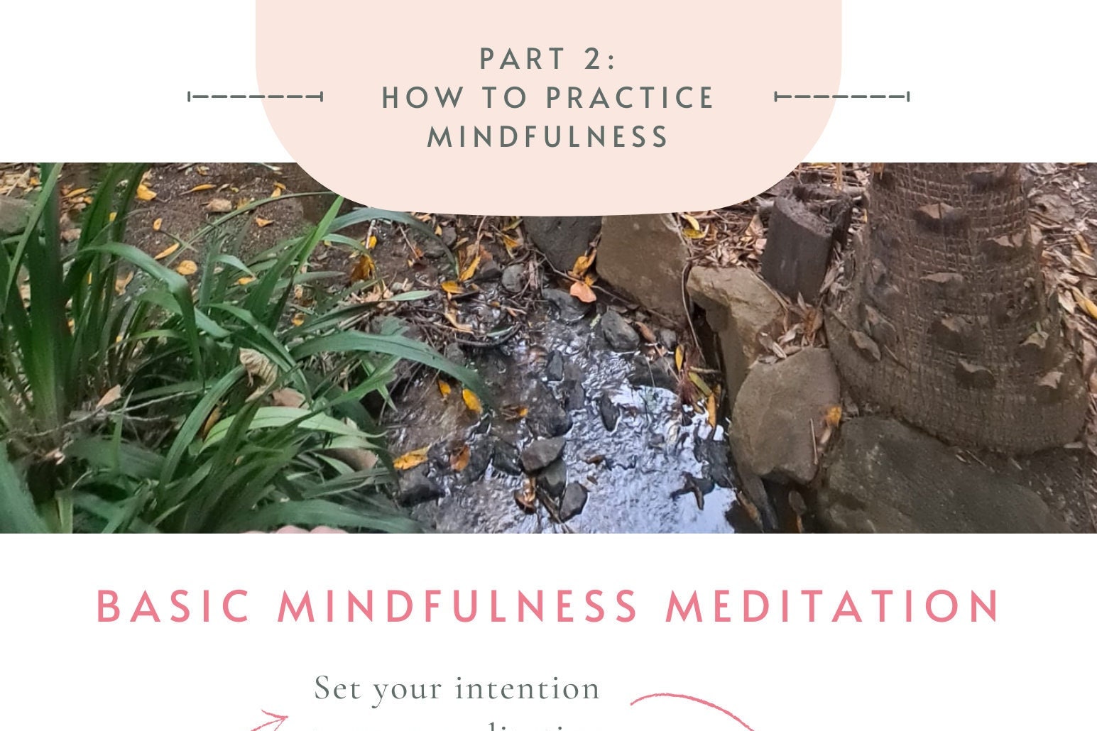 Mindfulness Guide Digital Download, Gratitude, Mindful, Beginner's ...