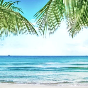 Zoom Into Beach View Virtual Animated Background, Template for Office ...