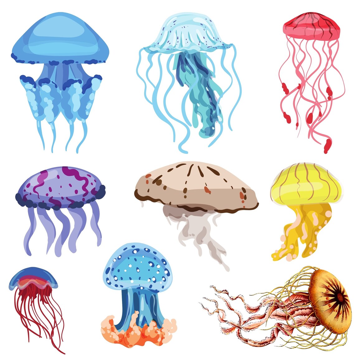 Jellyfish Watercolor Clipart Cute Unique Sea Creatures PNG - Etsy