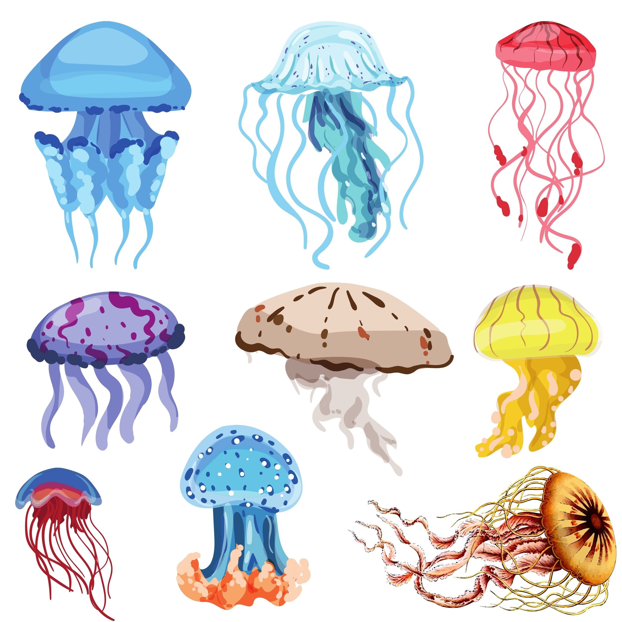 Jellyfish Watercolor Clipart, Cute Unique Sea Creatures PNG, SVG, PDF ...