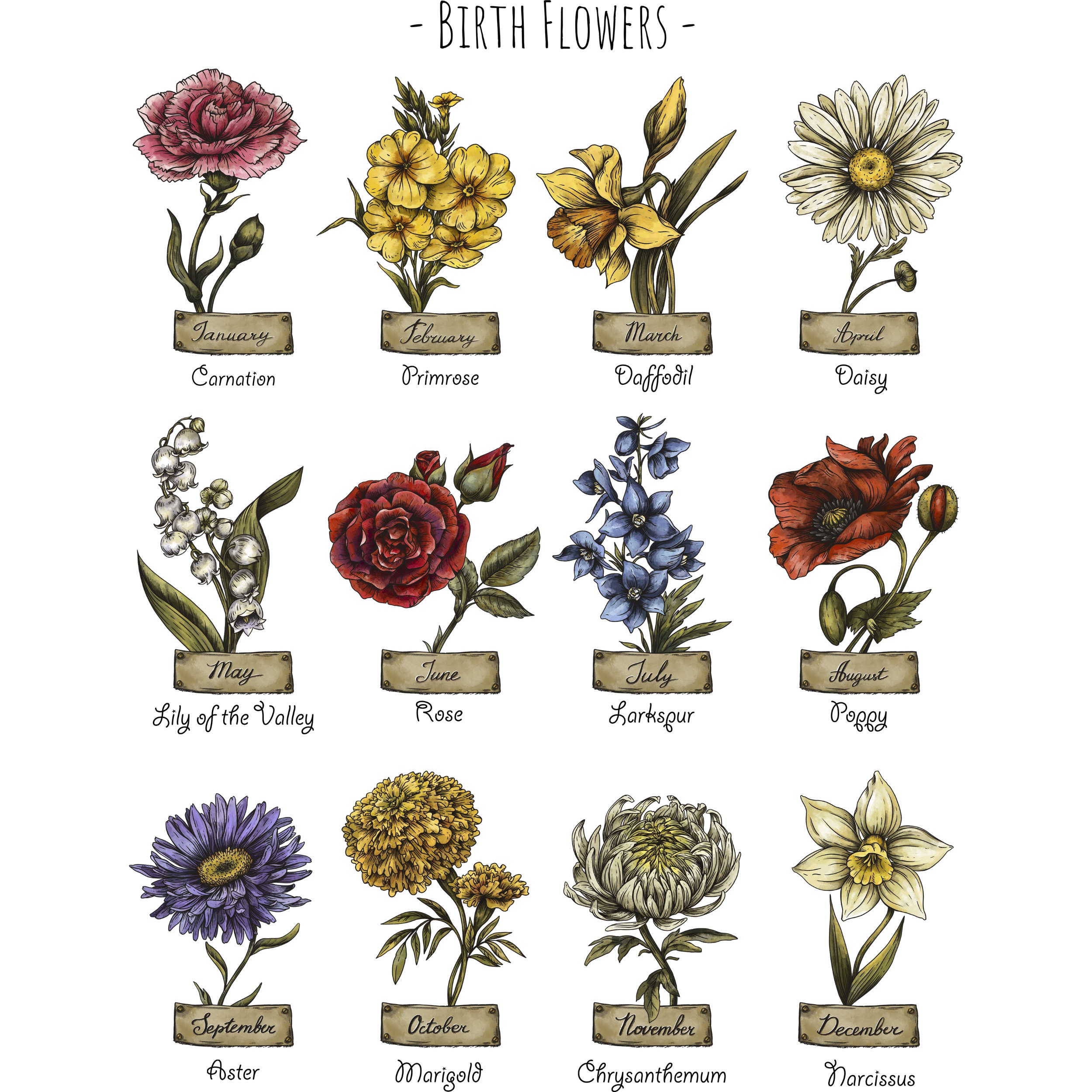 Birth Month Flower Bouquet SVG Bundle: Celebrate Each Month With ...