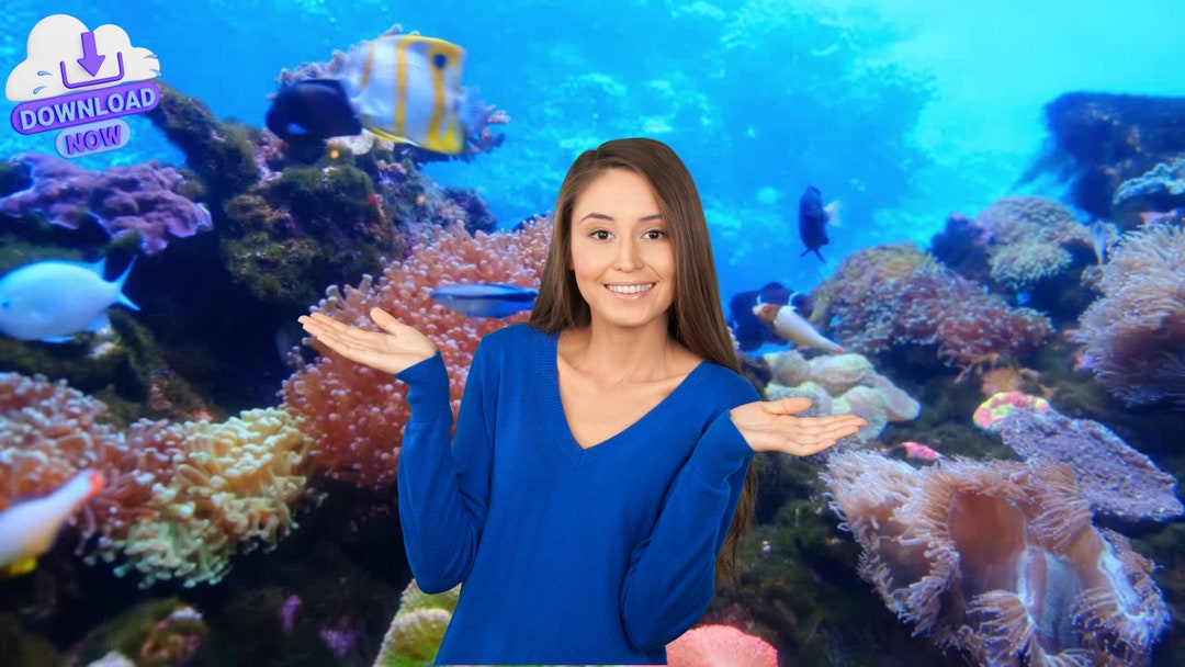 Underwater Video Virtual Background Immersive Aquatic Scenes for Video ...