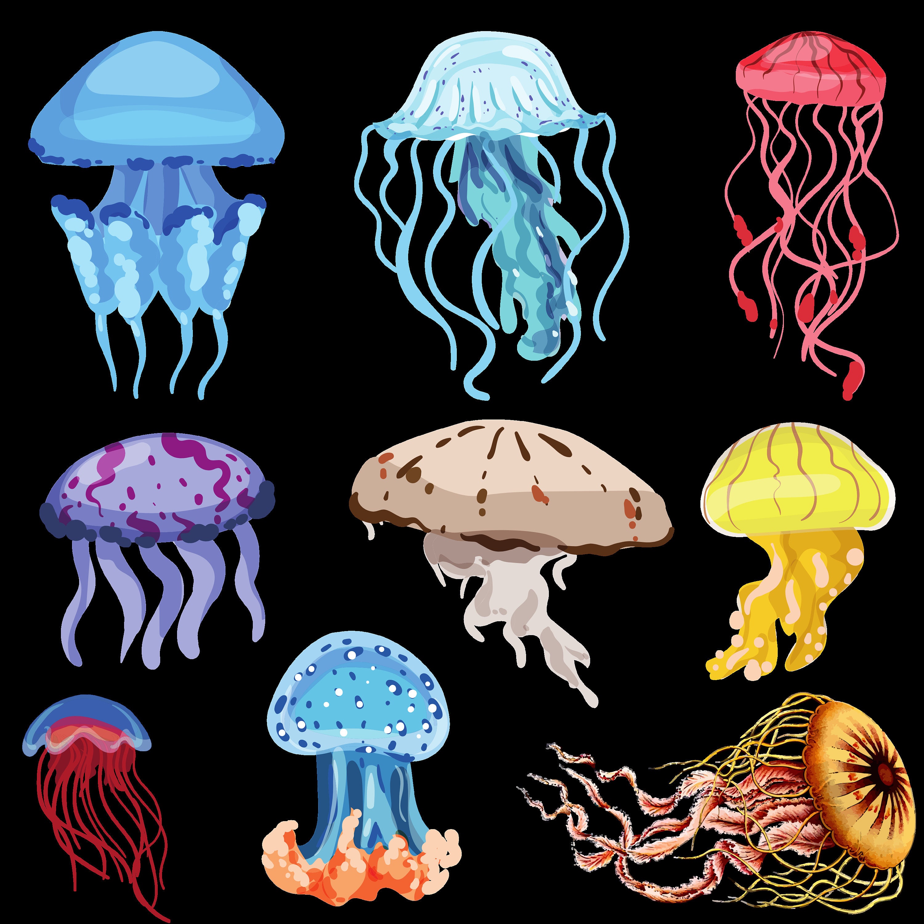 Jellyfish Watercolor Clipart Cute Unique Sea Creatures PNG - Etsy