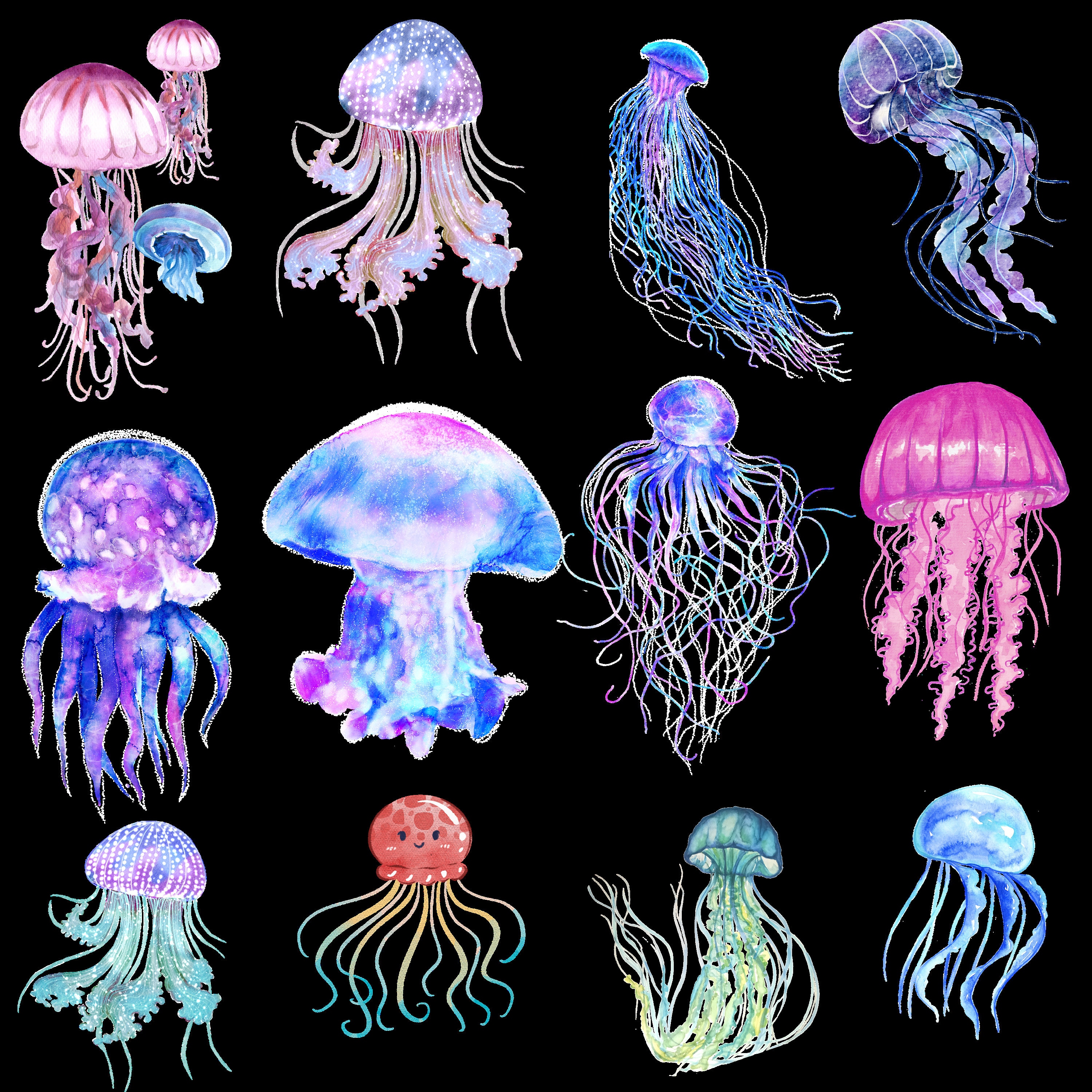 Jellyfish Watercolor Clipart Cute Unique Sea Creatures PNG - Etsy