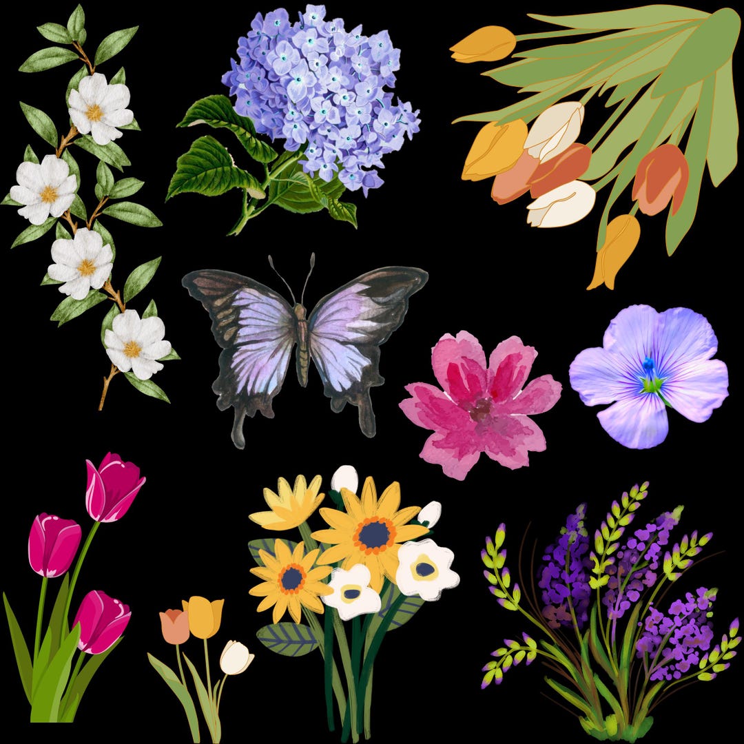 Clipart Mega Bundle of 12,000: Lifetime Access to Whole Shop Food ...