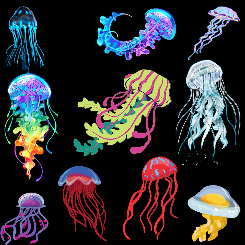 Jellyfish Watercolor Clipart, Cute Unique Sea Creatures PNG, SVG, PDF ...