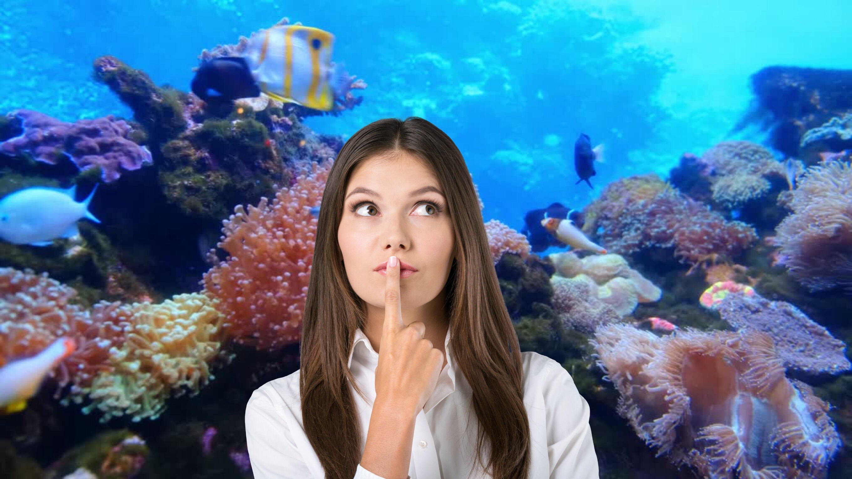 Underwater Video Virtual Background Immersive Aquatic Scenes for Video ...