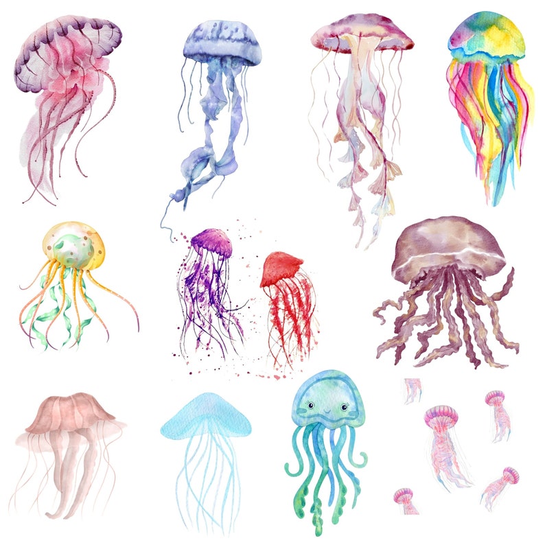 Jellyfish Watercolor Clipart, Cute Unique Sea Creatures PNG, SVG, PDF ...