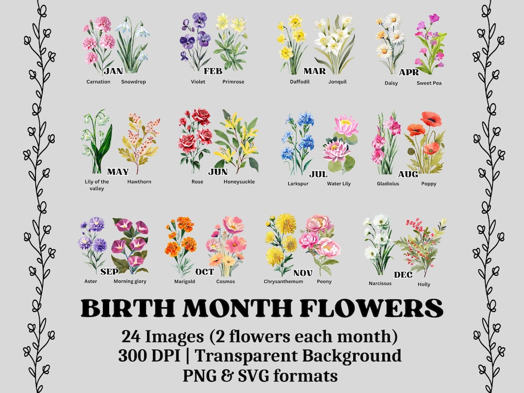 24 Watercolor Birth Month Flower PNG and SVG Sublimation Print Floral ...