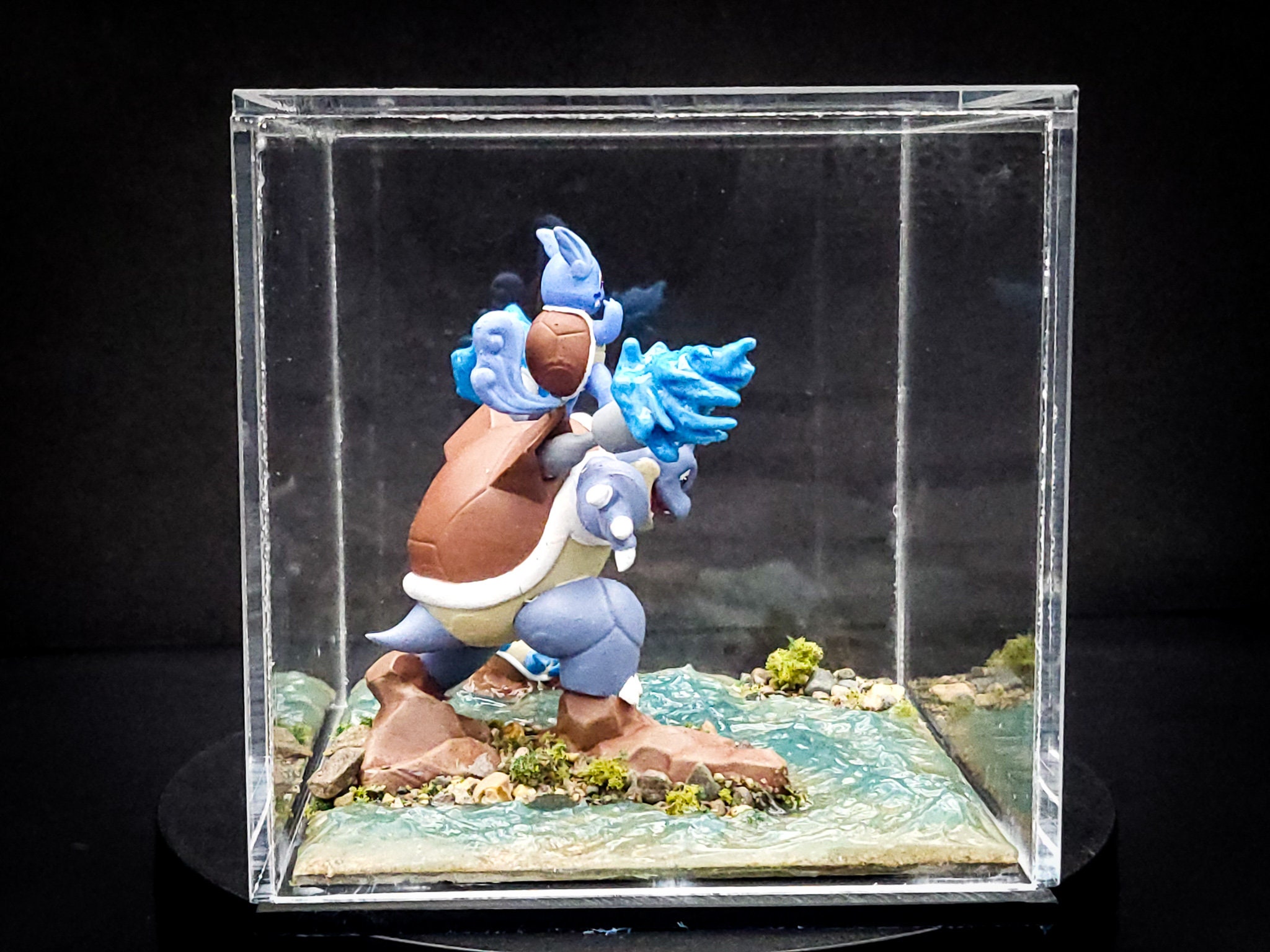 Squirtle Evolution Cube Diorama Terrarium Inspired by - Etsy