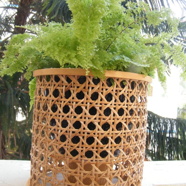 Cane Webbing - Etsy