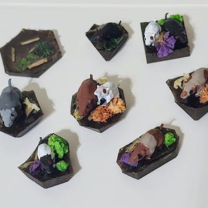 Rat Dice | D&D Dice Set | Tabletop Gaming Dice | Resin Dice - Etsy