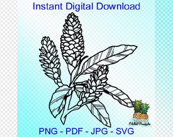 Torch Ginger Svg - Etsy