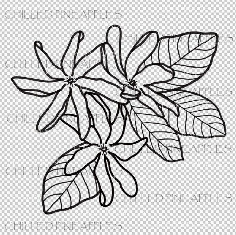 Digital Download - Tropical Island Flowers Tiare Tahitian Gardenia ...