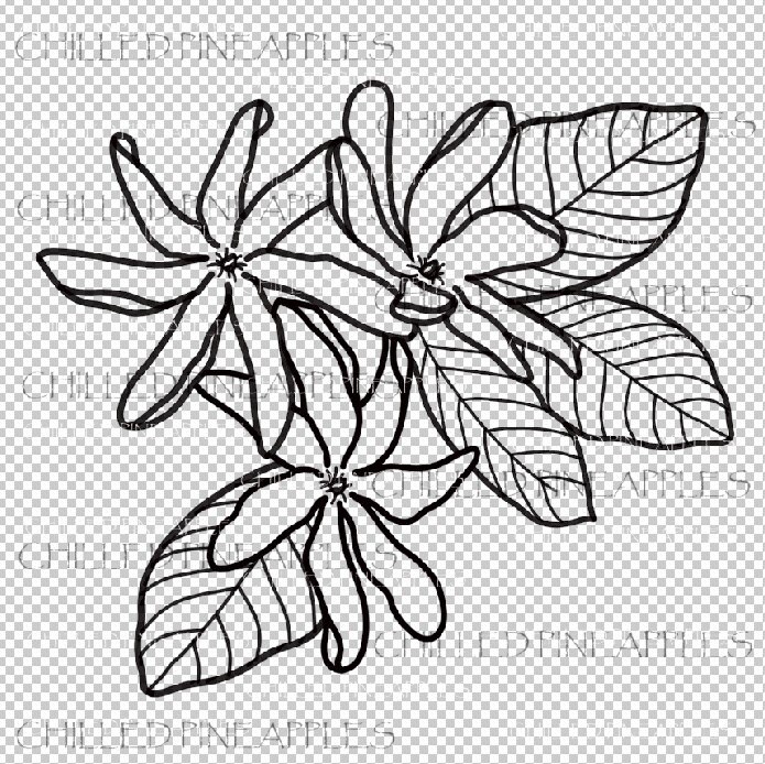 Digital Download Tropical Island Flowers Tiare Tahitian | Etsy