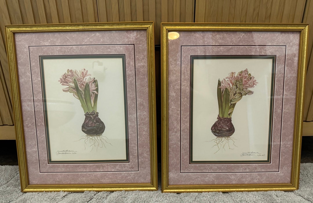 Vintage Janet W Brown Signed Blooming Hyacinth Paintings Hand-signed ...