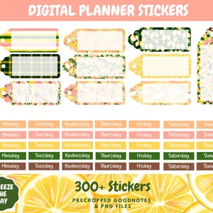 Weekly Stickers for DIGITAL PLANNER PNG Goodnotes July Summer Clipart ...