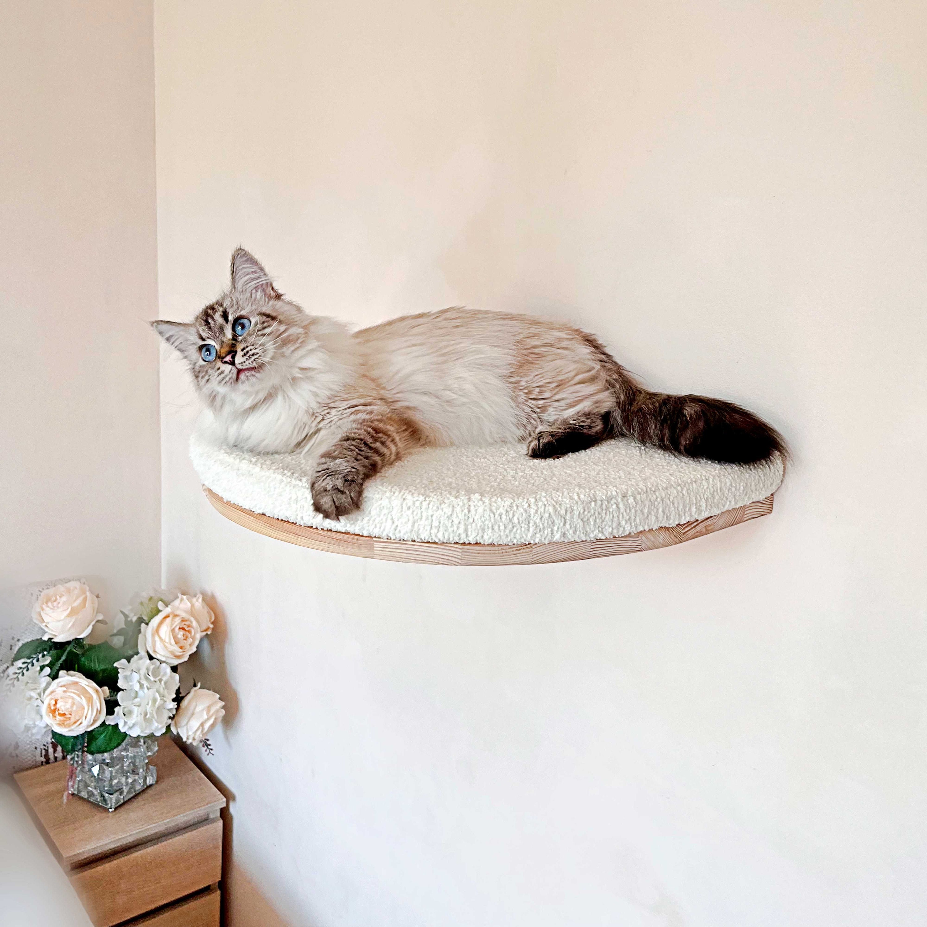 Beige Cat Wall Shelf, Wood Cat Shelves, Cat Bed, Minimalistic Pet ...
