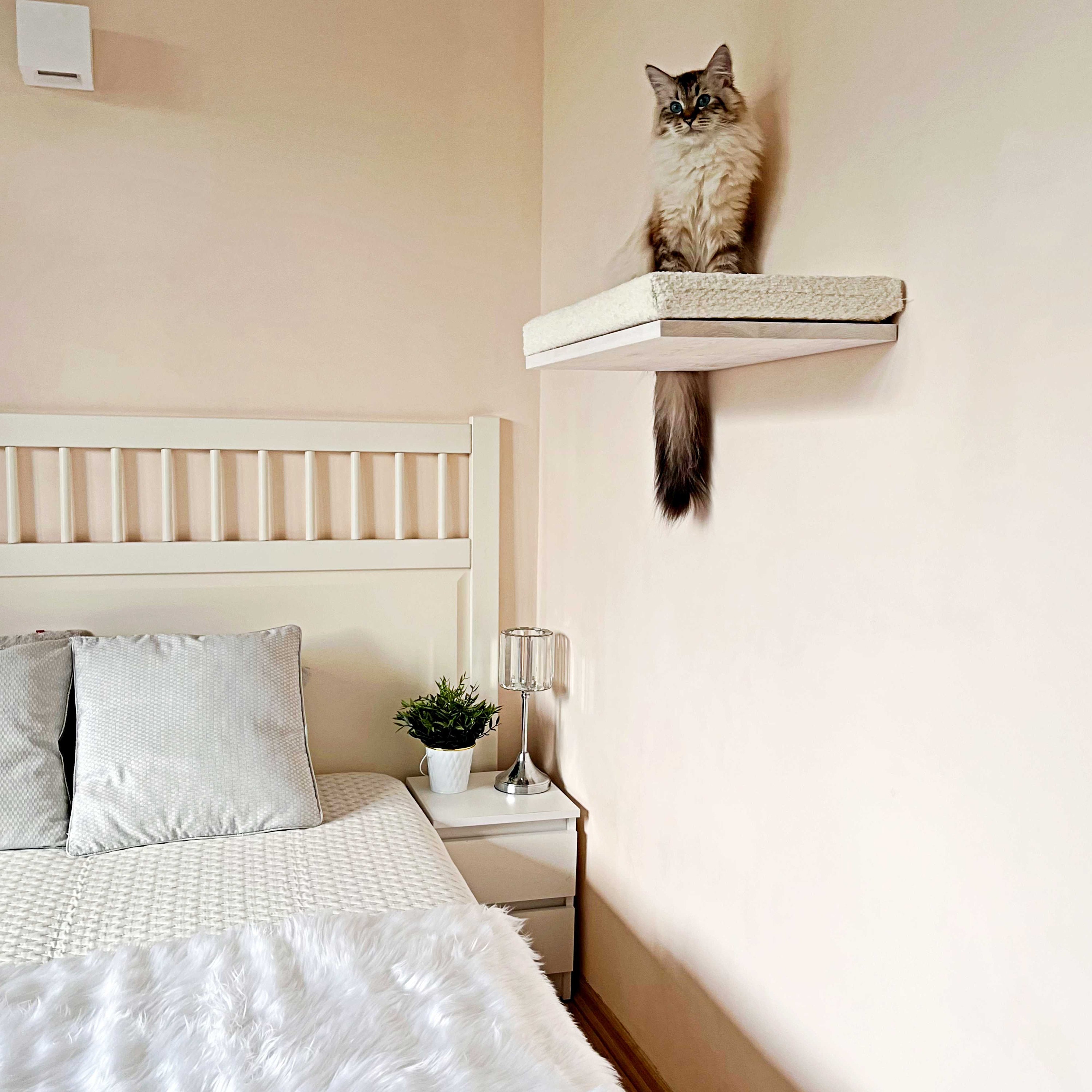Beige-white Cat Wall Shelf, Soft Cat Bed, Minimalistic Pet Furniture - Etsy