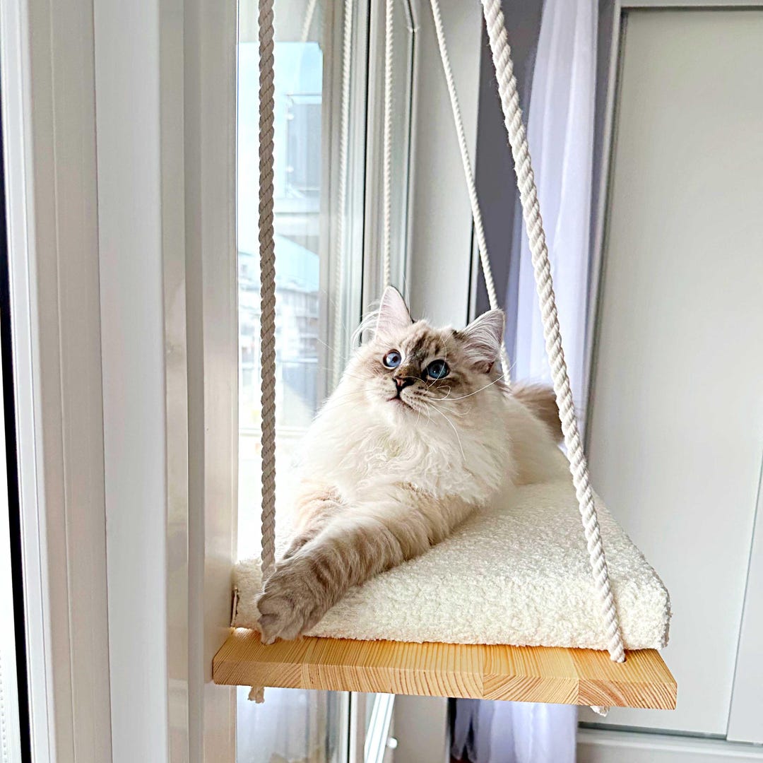 Cat Window Perch,cat Shelf, Window Sill, No Tools Installation, No ...