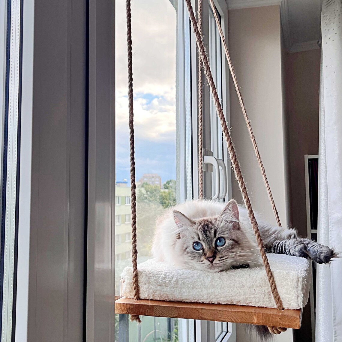 Cat Window Perch Cat Hammock Light Oak Cat Window Bed Wood - Etsy
