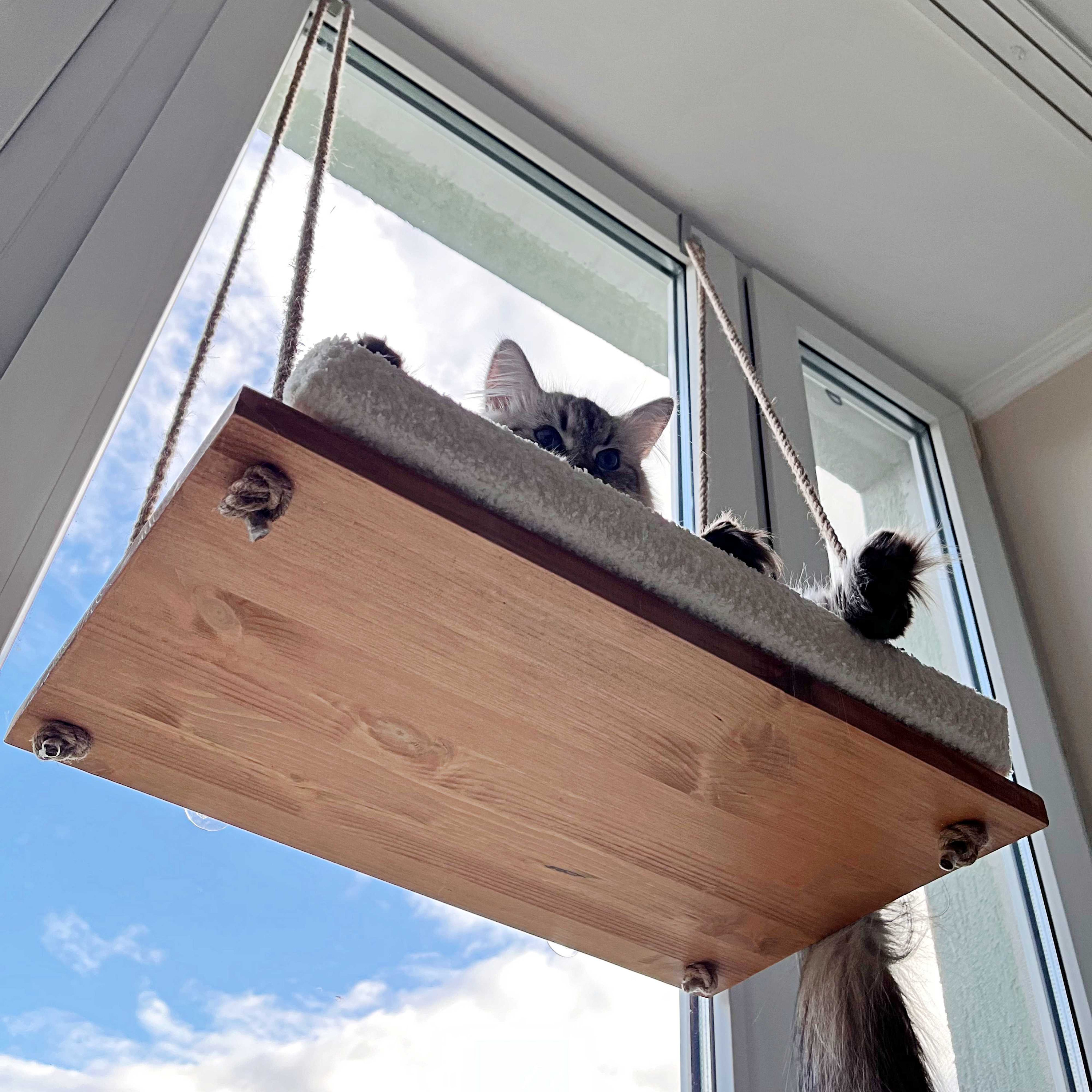 Cat Window Perch Cat Hammock Light Oak Cat Window Bed Wood - Etsy