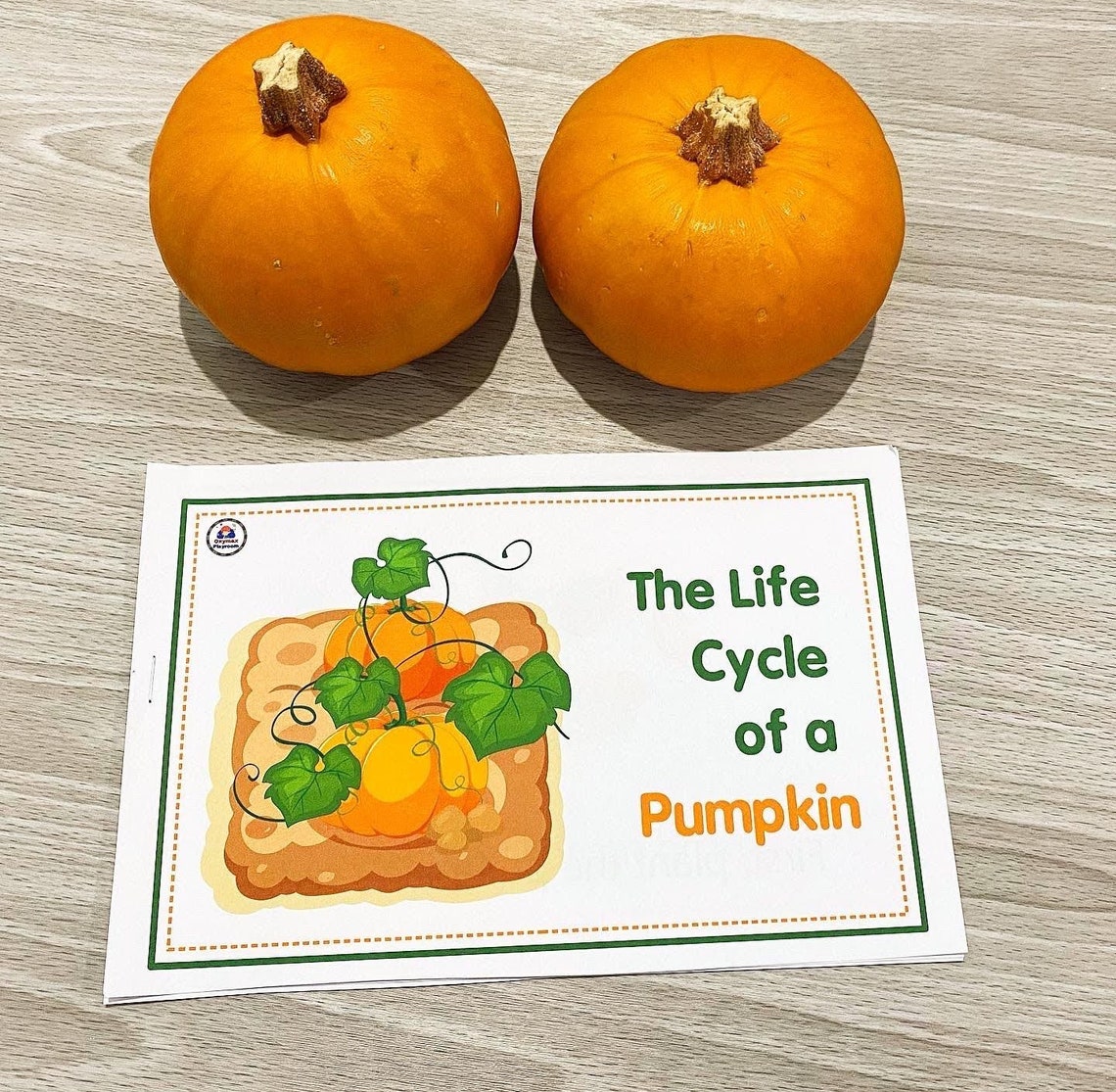 Life Cycle of A Pumpkin Worksheets & Teaching Resources. - Etsy