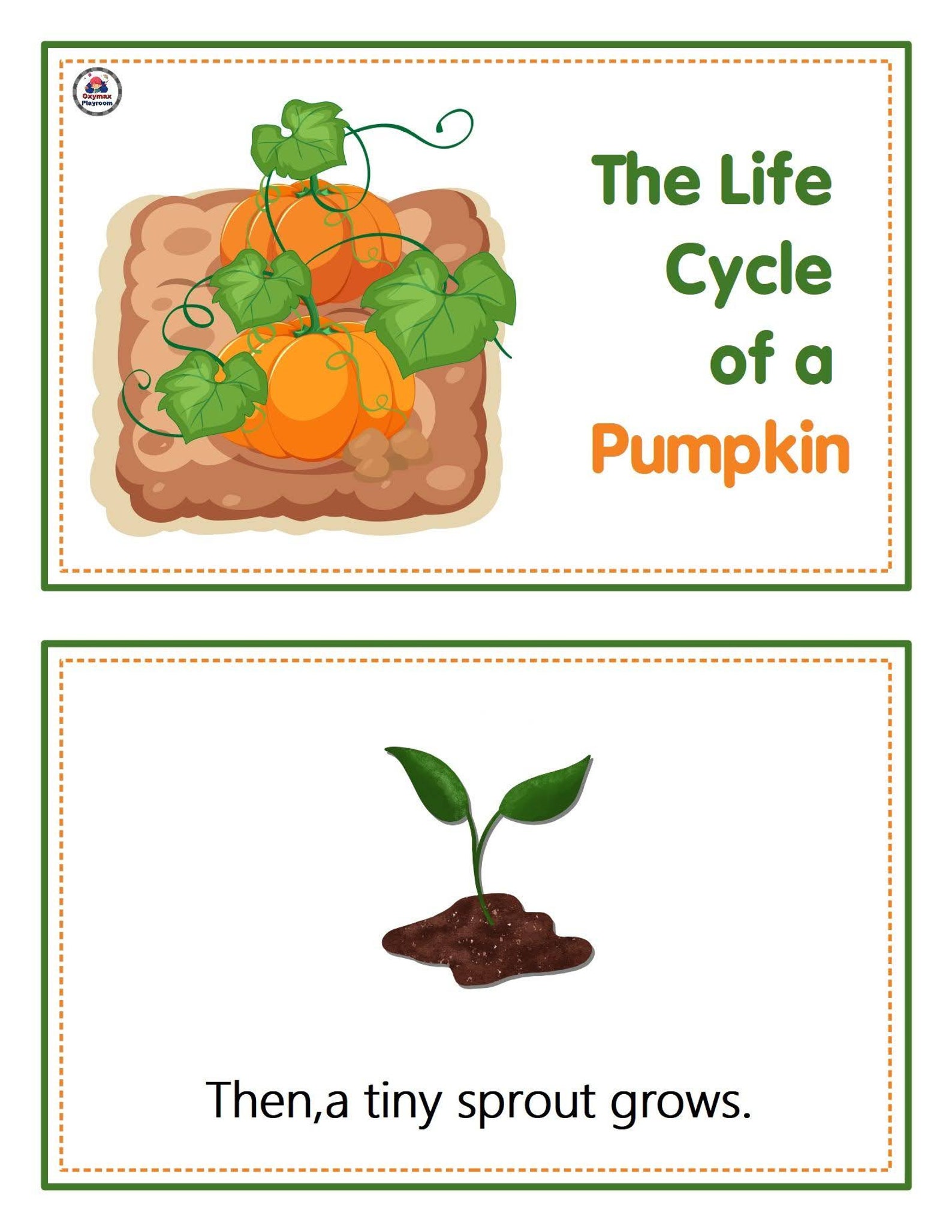 Life Cycle of A Pumpkin Worksheets & Teaching Resources. - Etsy