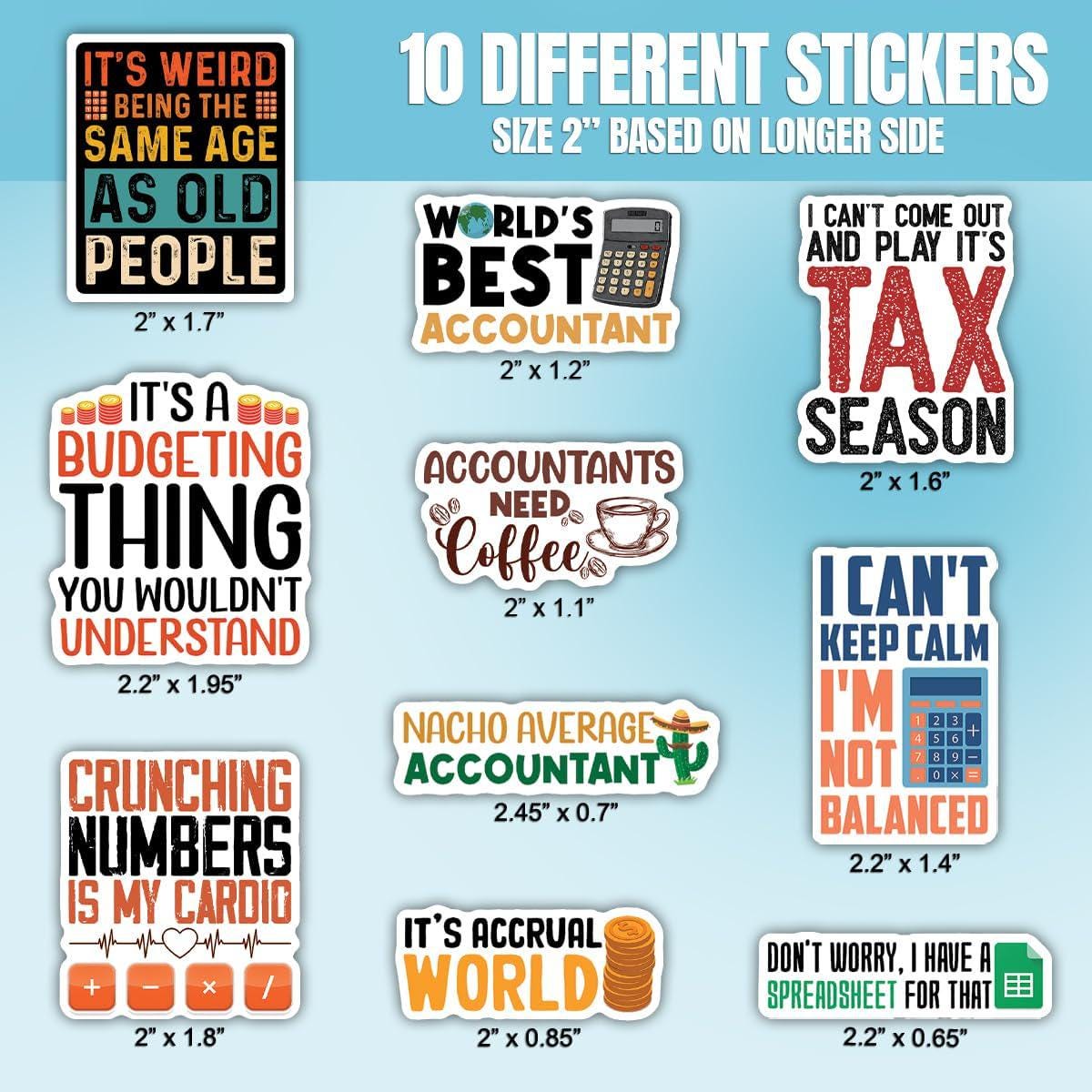 10pcs Accountant Stickers Pack, Accounting Spreadsheet, Gift for ...