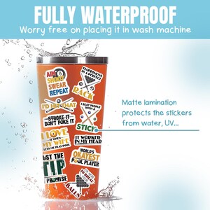 10pcs Billiards Stickers Pack, Pool Table Stickers, Pool Ball, Cue ...