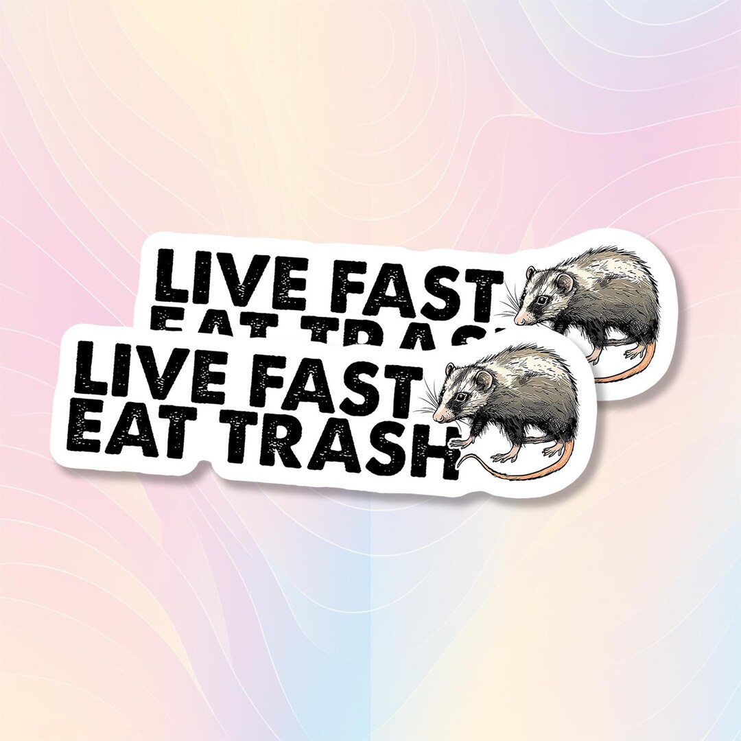 2pcs Possum Stickers, Live Fast Eat Trash, Cool Opossum Sticker, Cute ...