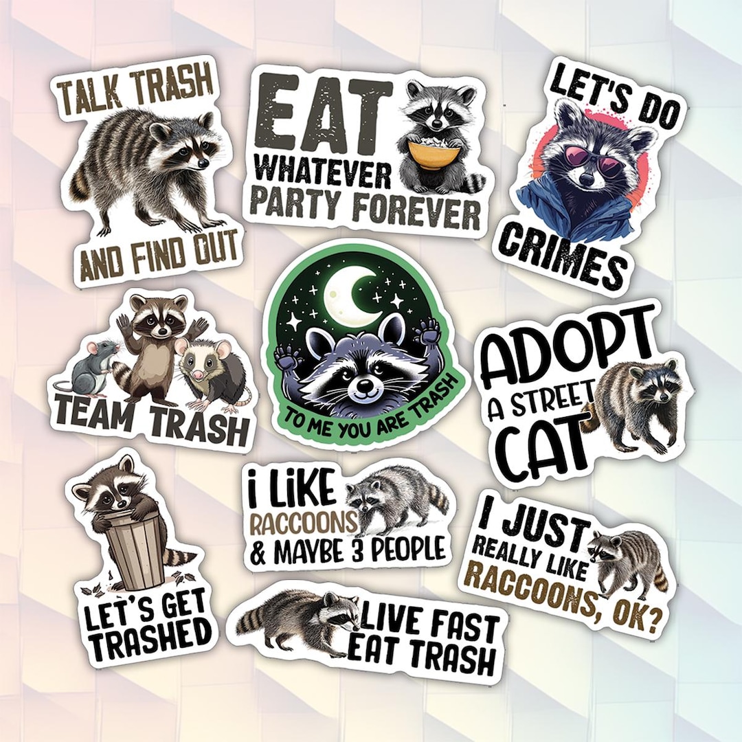 10pcs Raccoon Stickers Pack, Cute Raccoon, Creative Raccoon, Clever ...