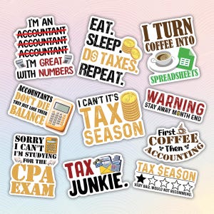 10pcs Accountant Stickers Pack, Accounting Spreadsheet, Gift for ...