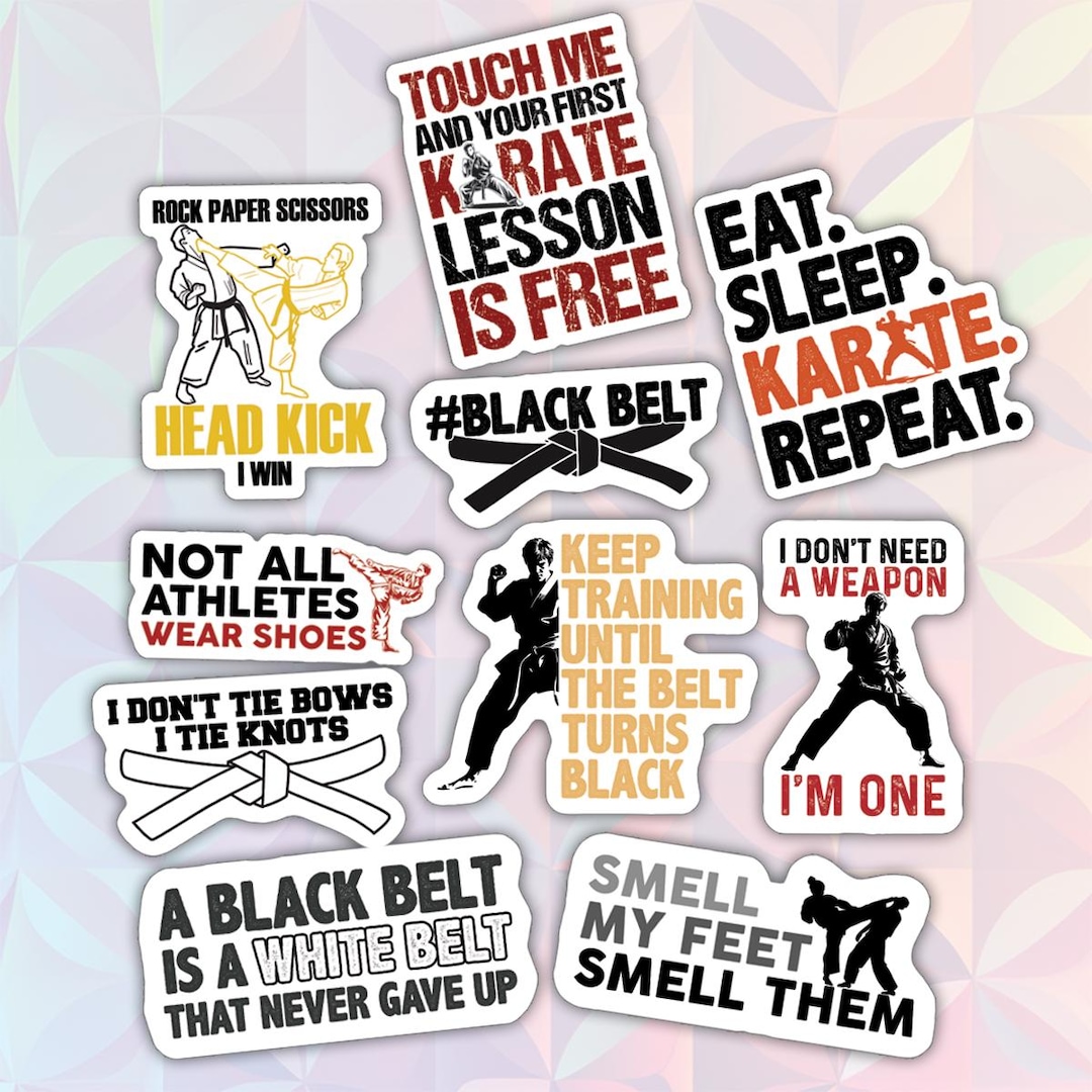 10pcs Karate Stickers Pack, Karate Power Stickers, Karate Fighter ...