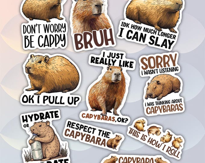 The Capy Life Sticker Set - Etsy