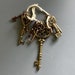 Vintage Skeleton Key Ring Set (#12 Total) - Etsy