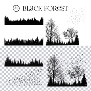 Black Forest Digital Border Clipart, Nature Clipart, Black Birds and ...