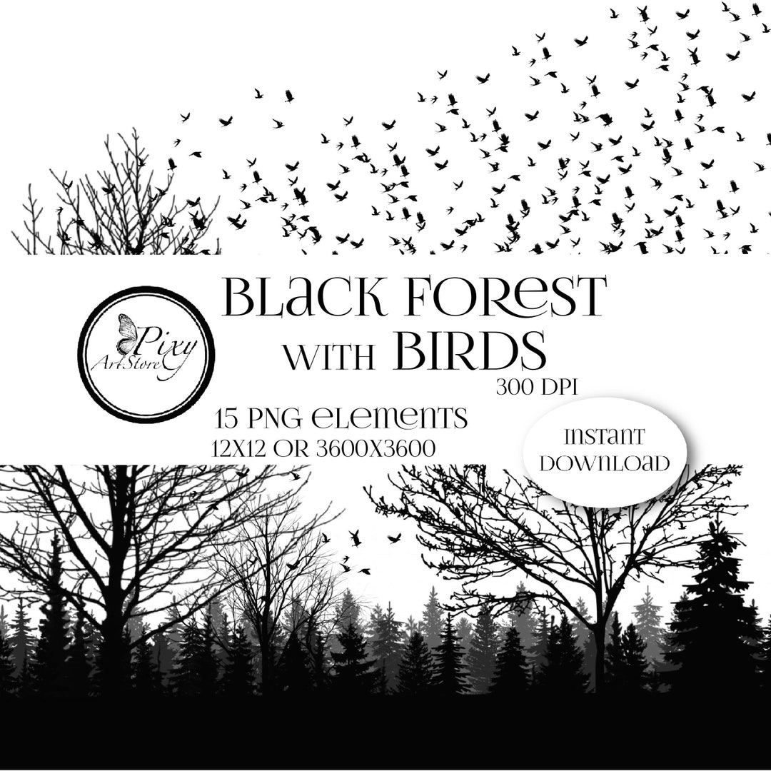 Black Forest Digital Border Clipart, Nature Clipart, Black Birds and ...