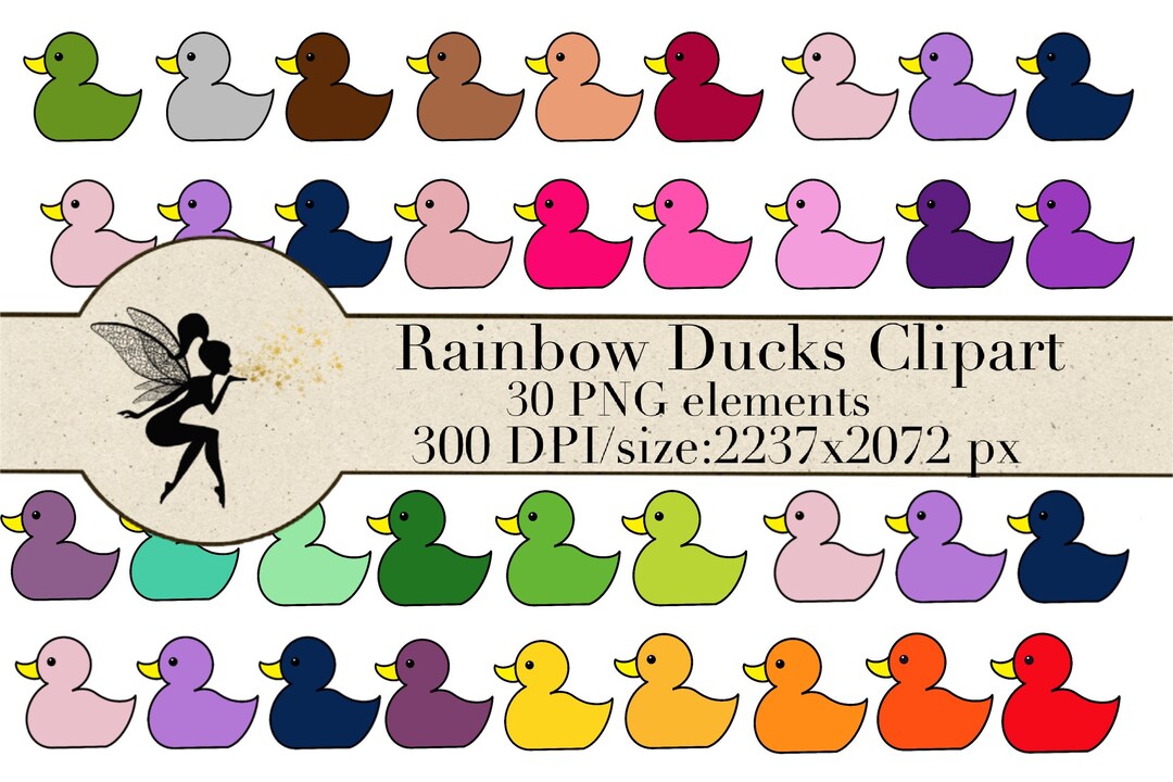 Rainbow Duck Clipart Set, Duck Clipart, Instant Download, Duck PNG ...